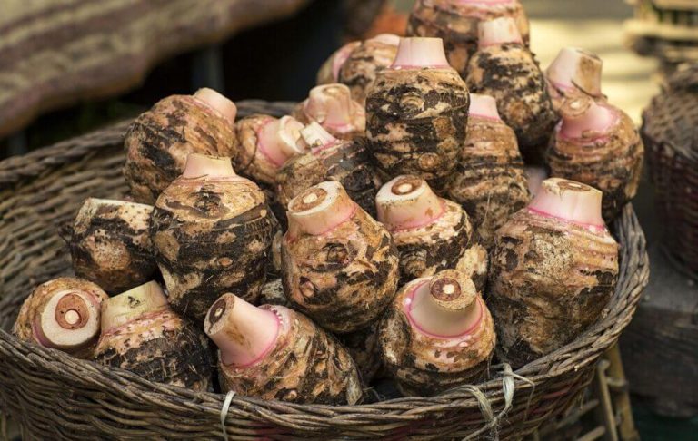 What Does Taro Root Taste Like? Flavor, Texture, and Uses