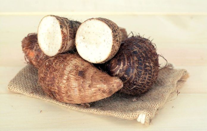 What Does Taro Root Taste Like? Flavor, Texture, and Uses