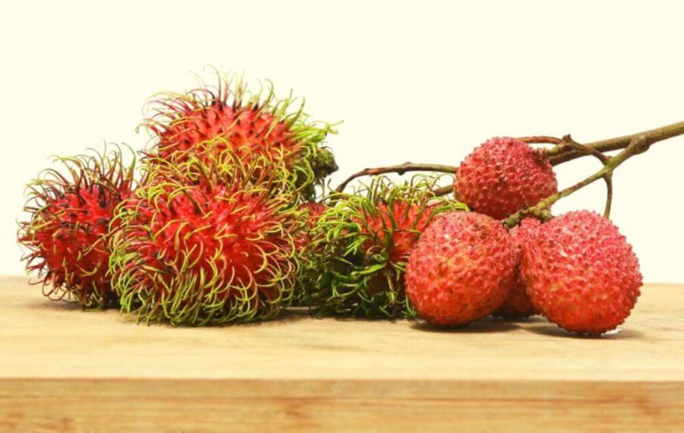 Rambutan vs Lychee: What’s the Difference?