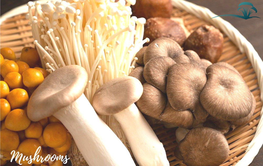 Are Mushrooms Healthy?