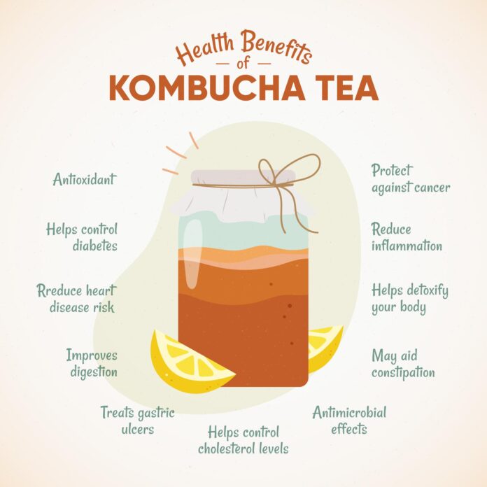 Is Kombucha Good for Bloating? A Science-Backed Guide to Digestive Relief