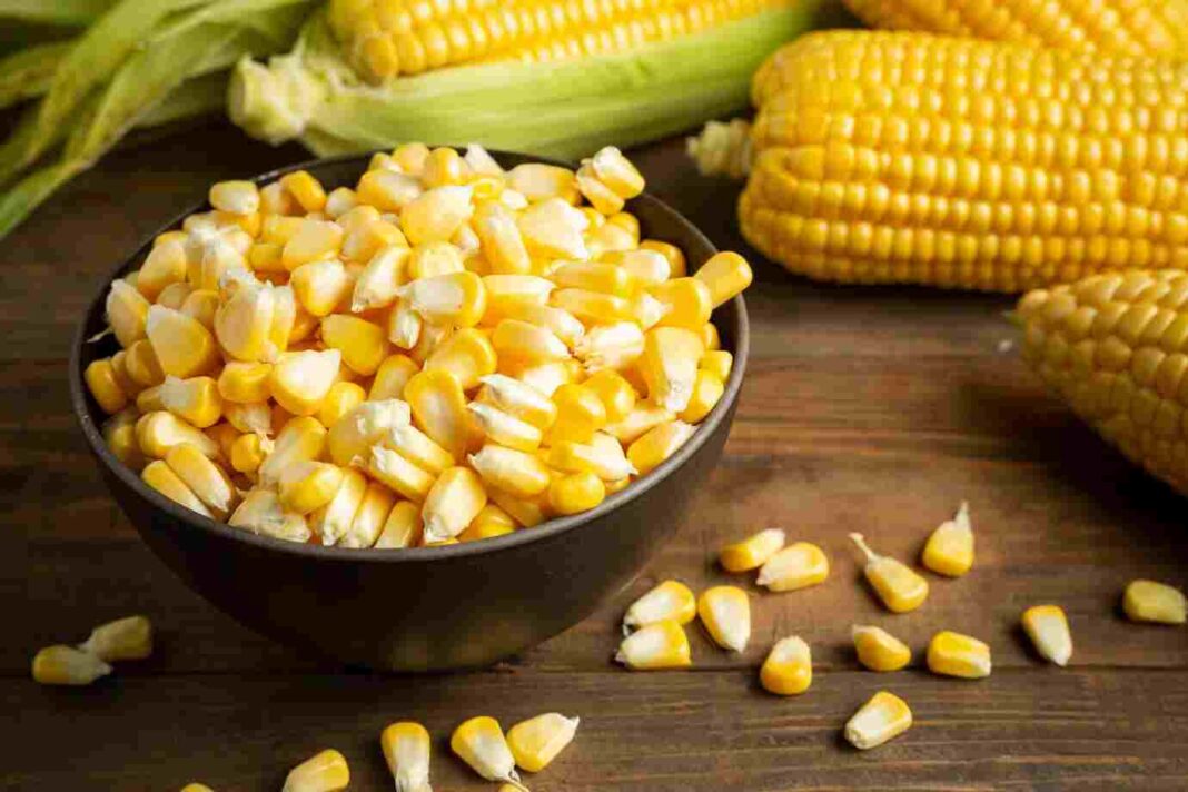 Is Cornstarch Gluten-Free? What People with Celiac Disease Need to Know