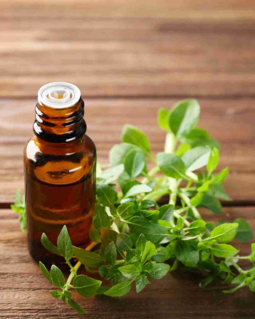 Benefits of Oregano Oil: Guide for Health, Immunity, and Wellness
