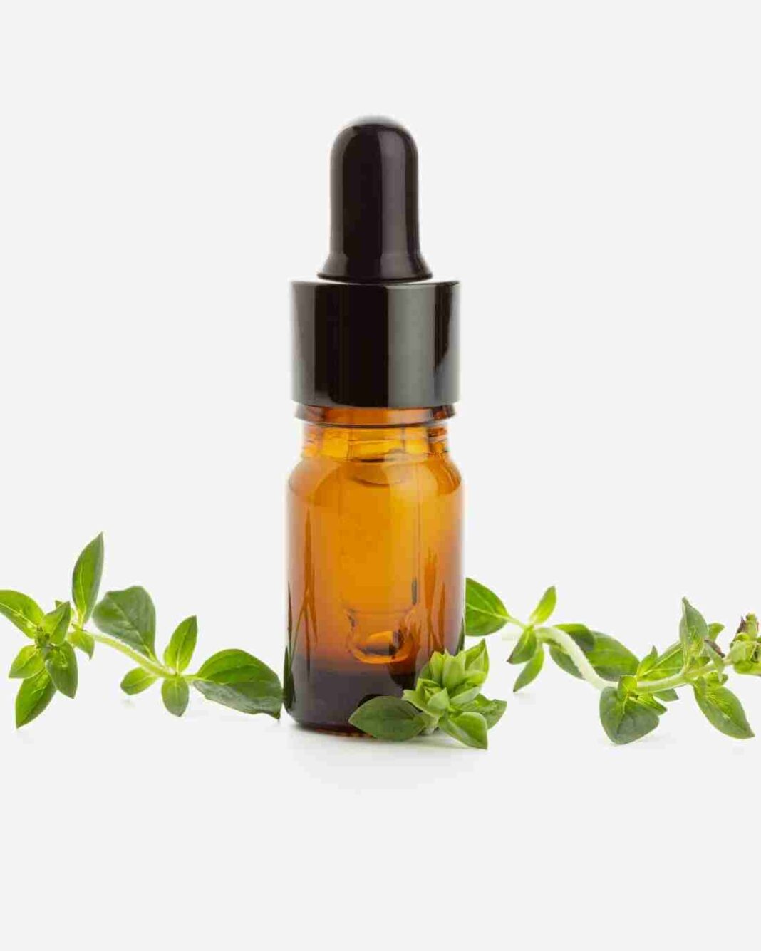 Benefits of Oregano Oil: Guide for Health, Immunity, and Wellness